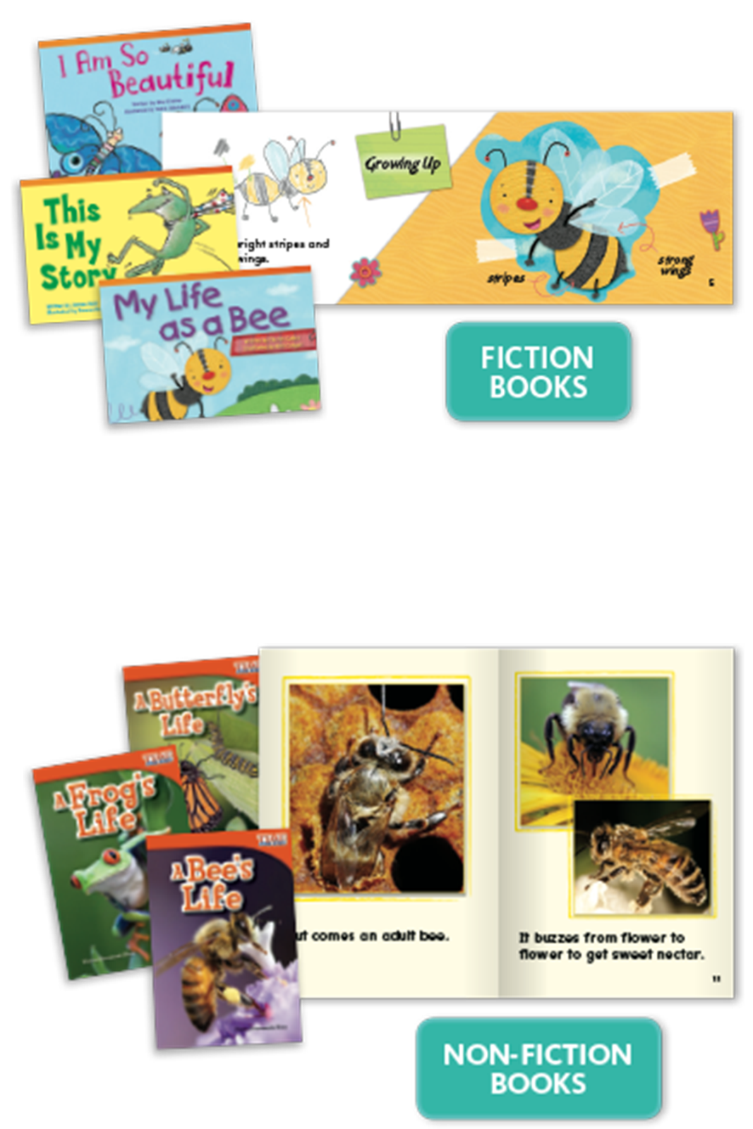 Take Home Readers | Cengage Australia